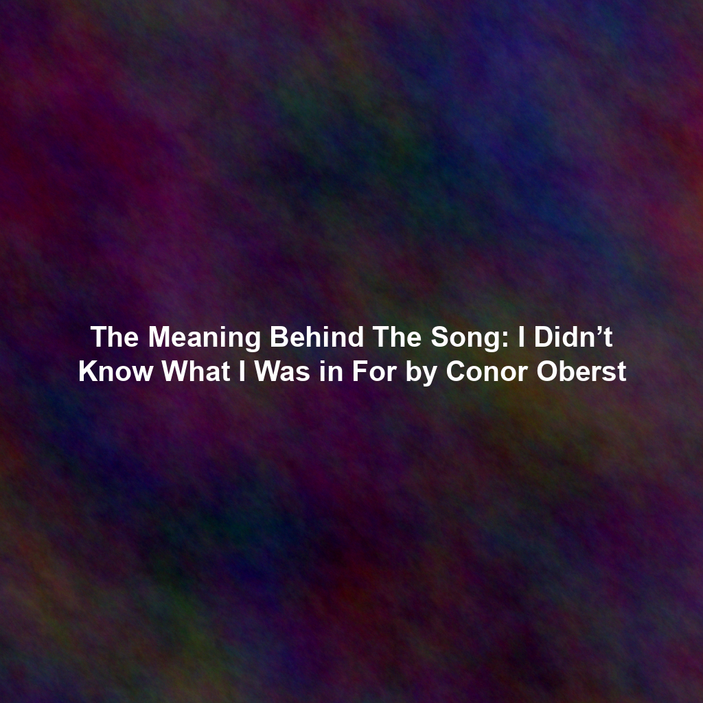 The Meaning Behind The Song: I Didn’t Know What I Was in For by Conor ...